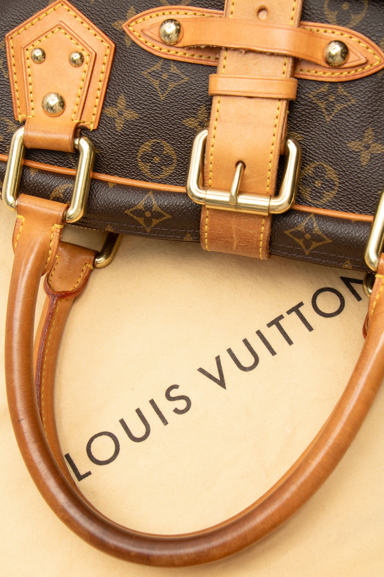 Купить Кожаная сумка Louis Vuitton в СПб | NewLife.moda